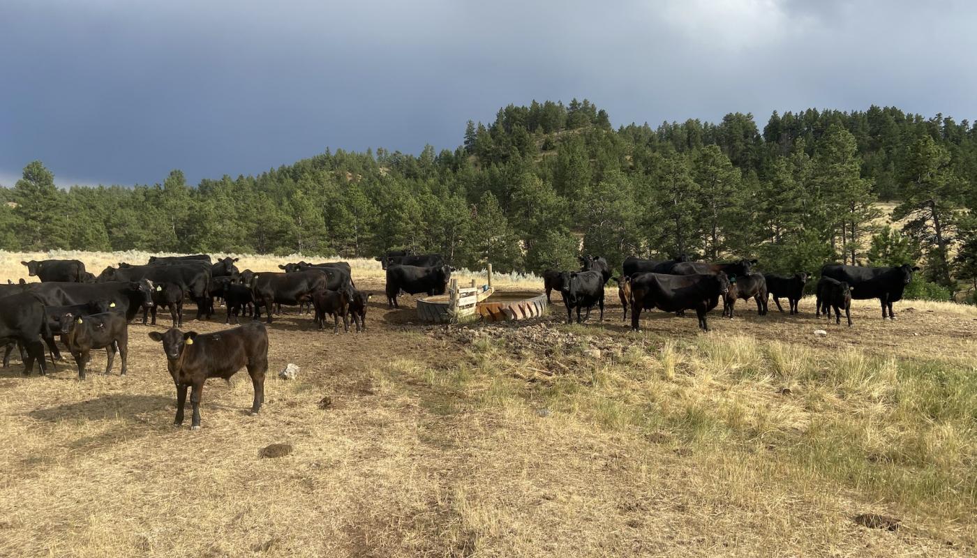 Rumph Butte Creek Ranch | Powers Land Brokerage