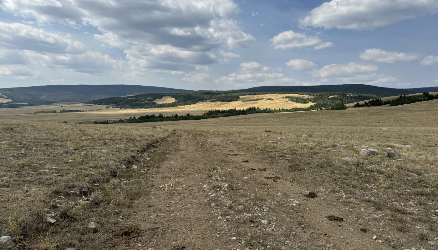 Snowy Range Ranch | Powers Land Brokerage