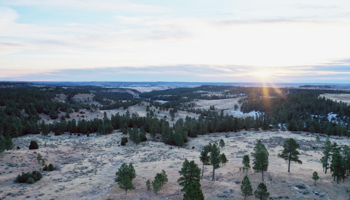 PK Elk Preserve | Powers Land Brokerage