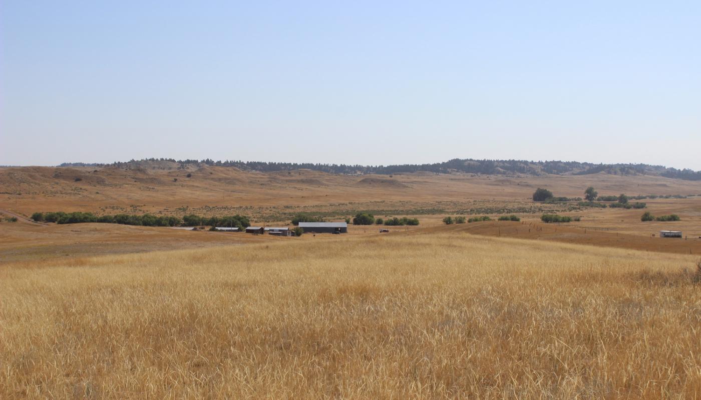 Morgan Ranch | Powers Land Brokerage