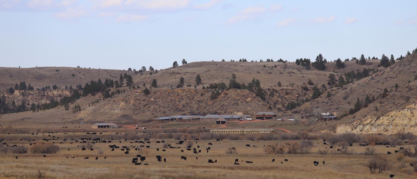 OW Ranch | Powers Land Brokerage