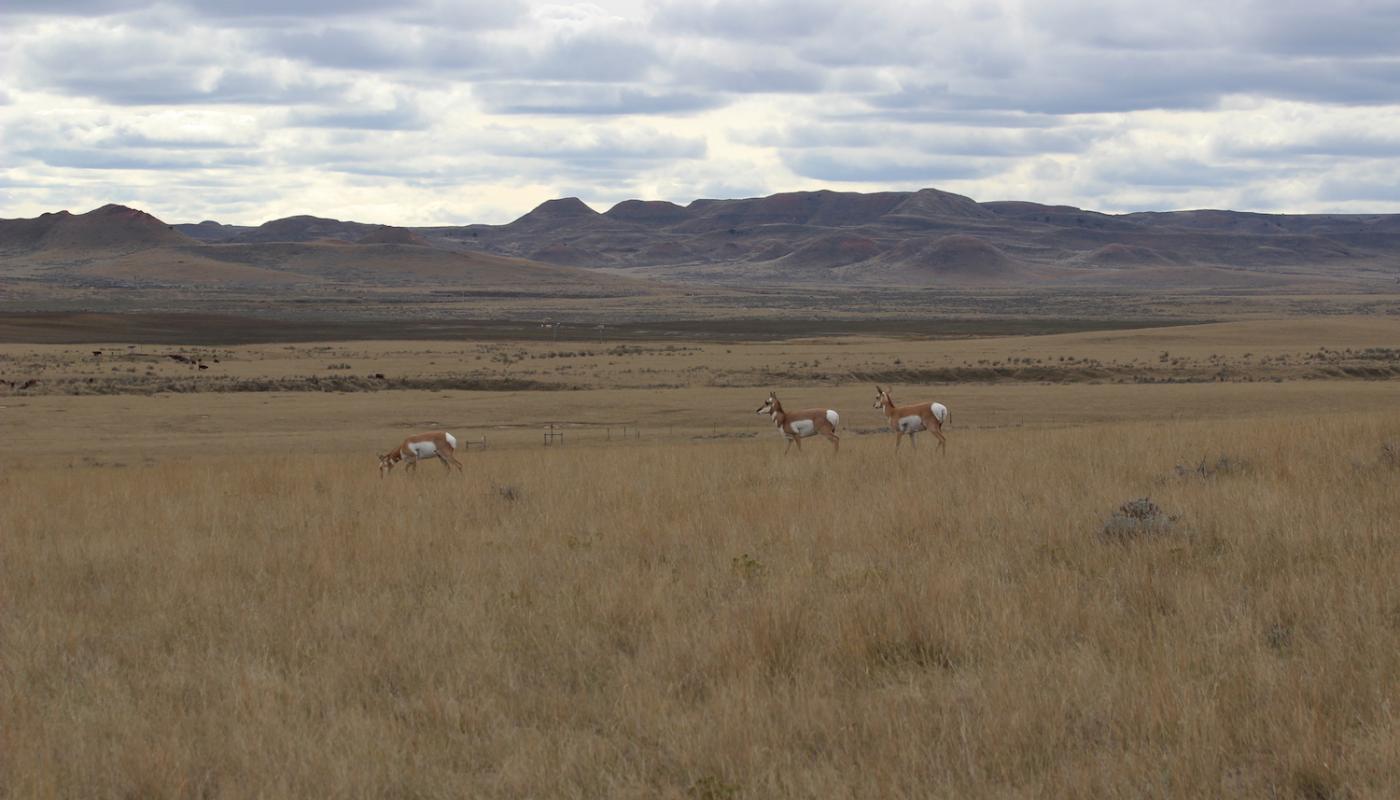 Butcher Ranch | Powers Land Brokerage